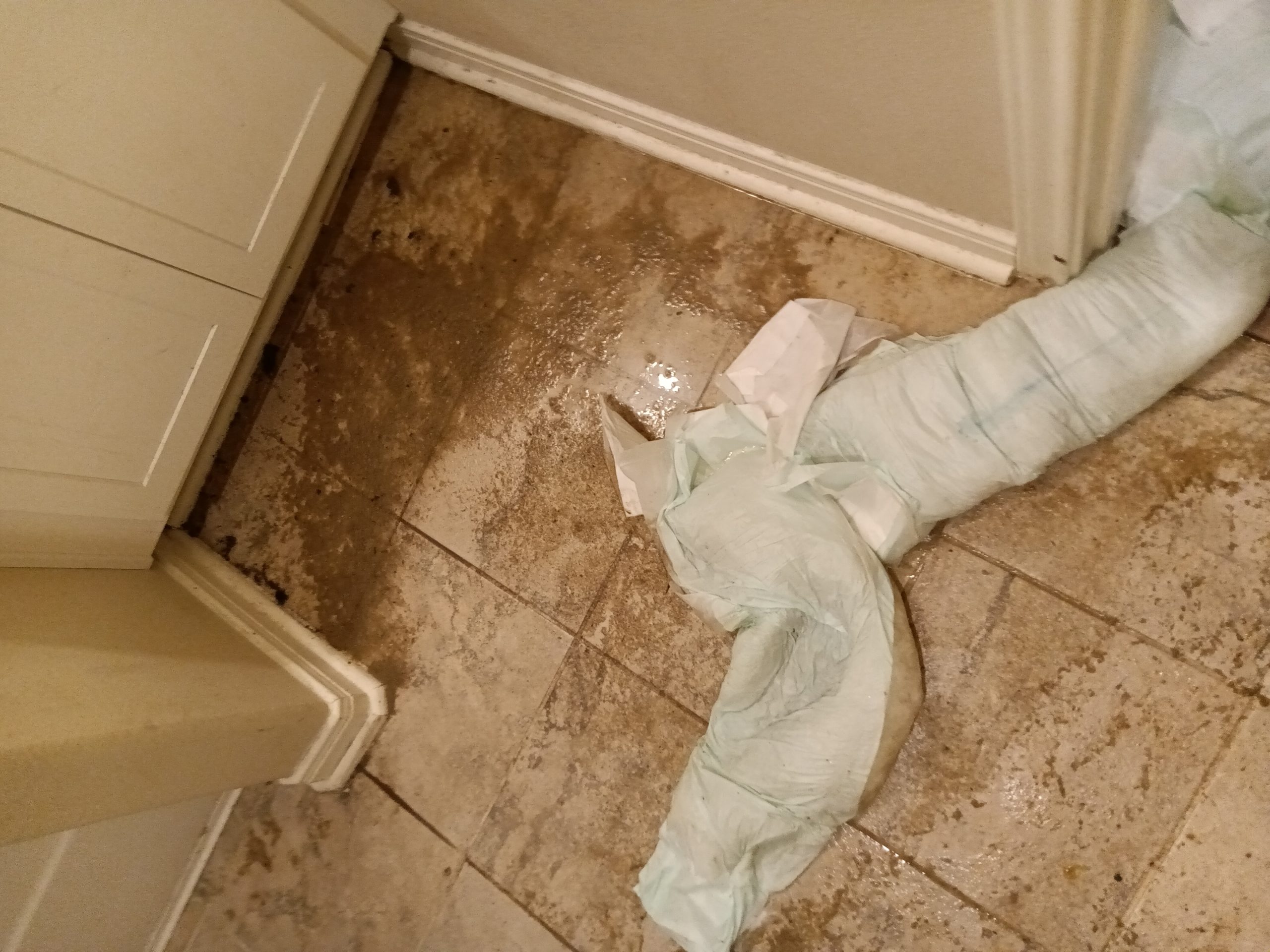 What is Category 3 Water Damage? | Total Restoration